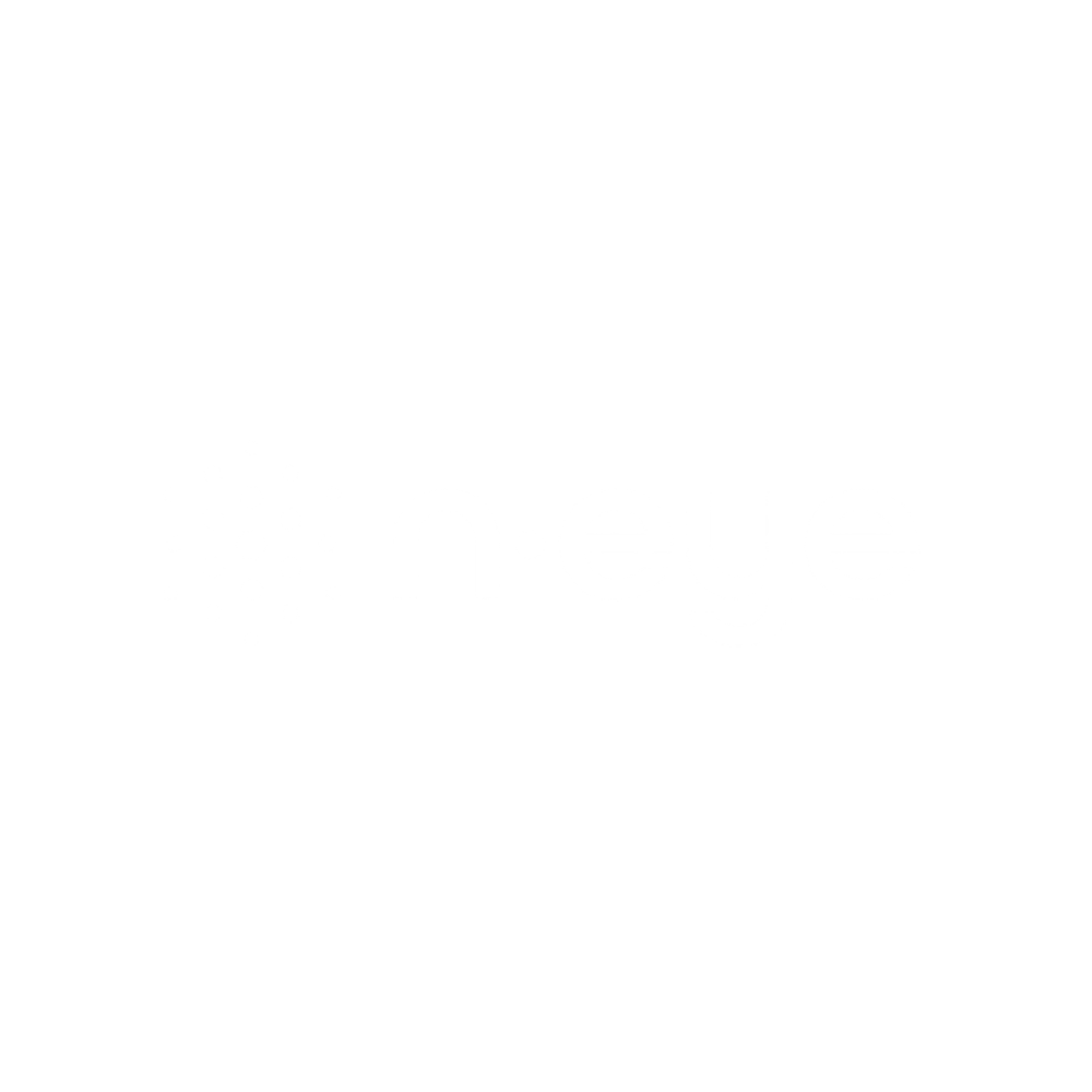 nEye Systems - Socratic Partners